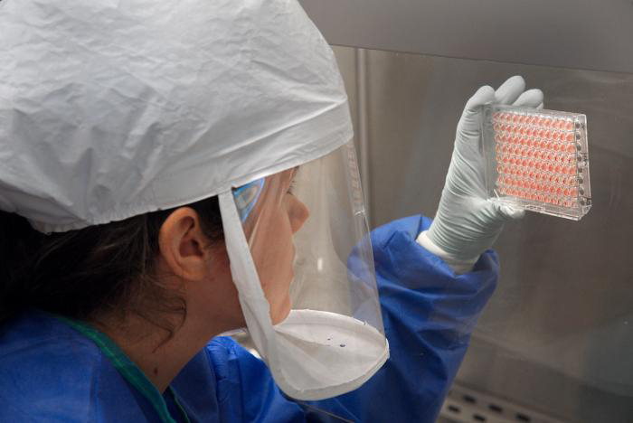 What Emergency Management Jobs Are Available in Infectious Disease ...